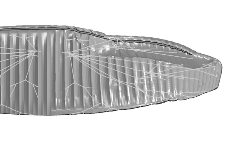 NOVA Performance Paragliders - ION 7 Light