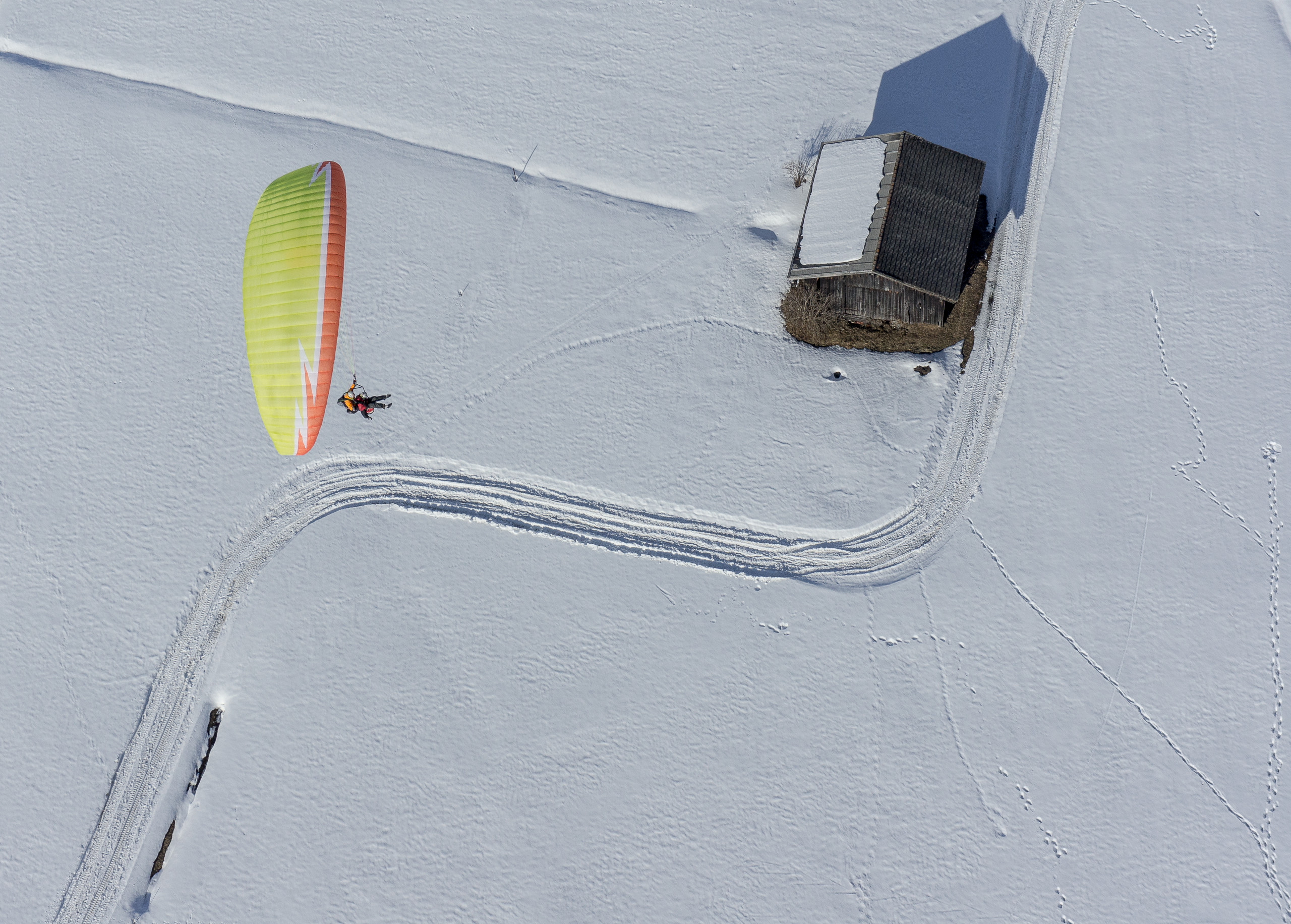 NOVA Performance Paragliders - BION