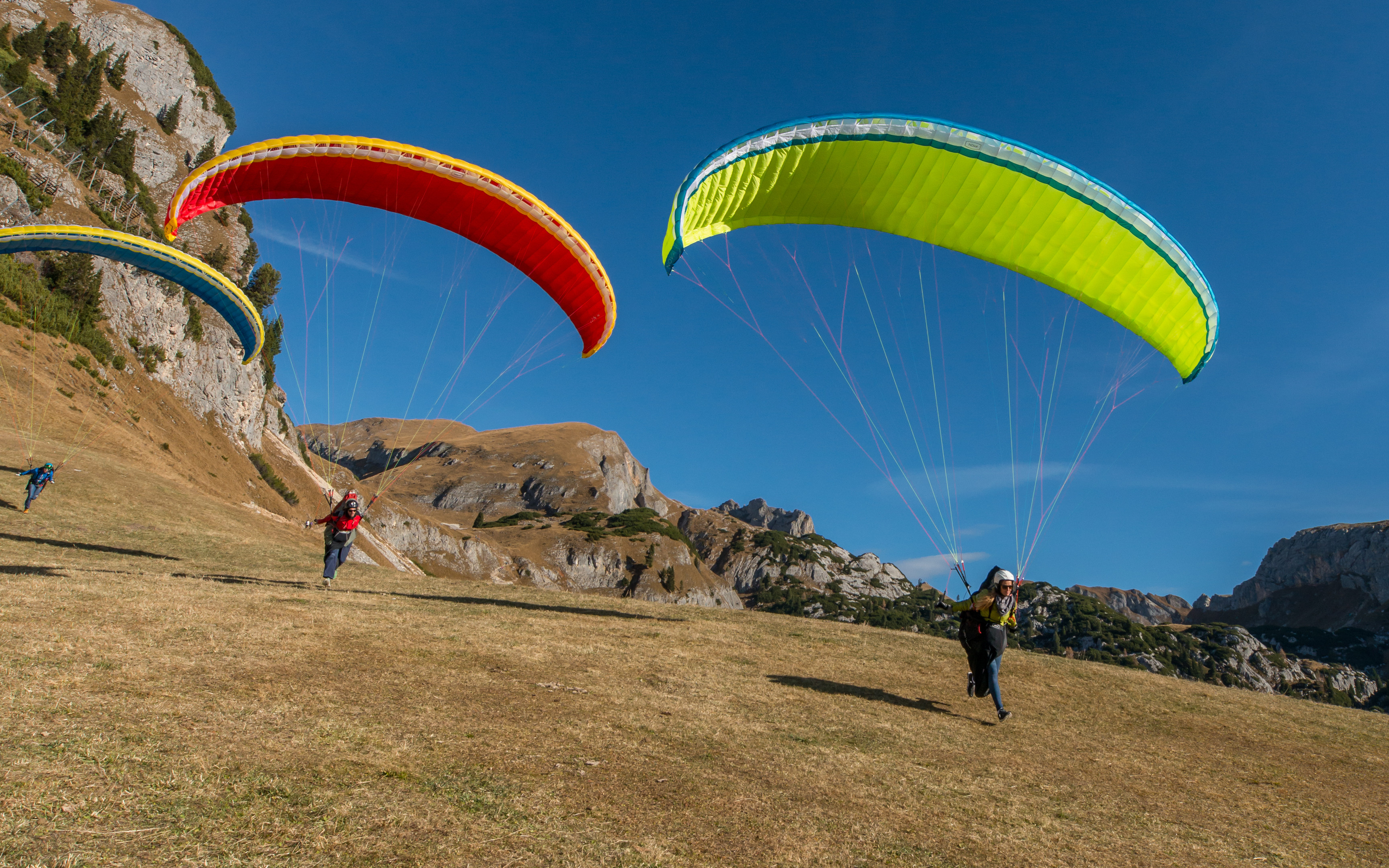 NOVA Performance Paragliders - ION 4